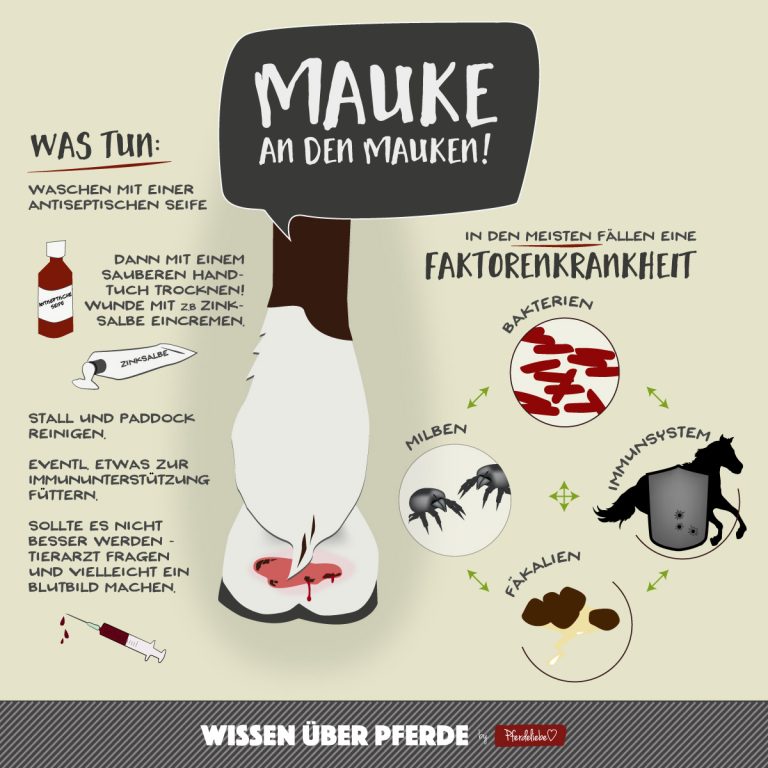 Mauke an den Mauken! – Pferdeliebe – das Magazin