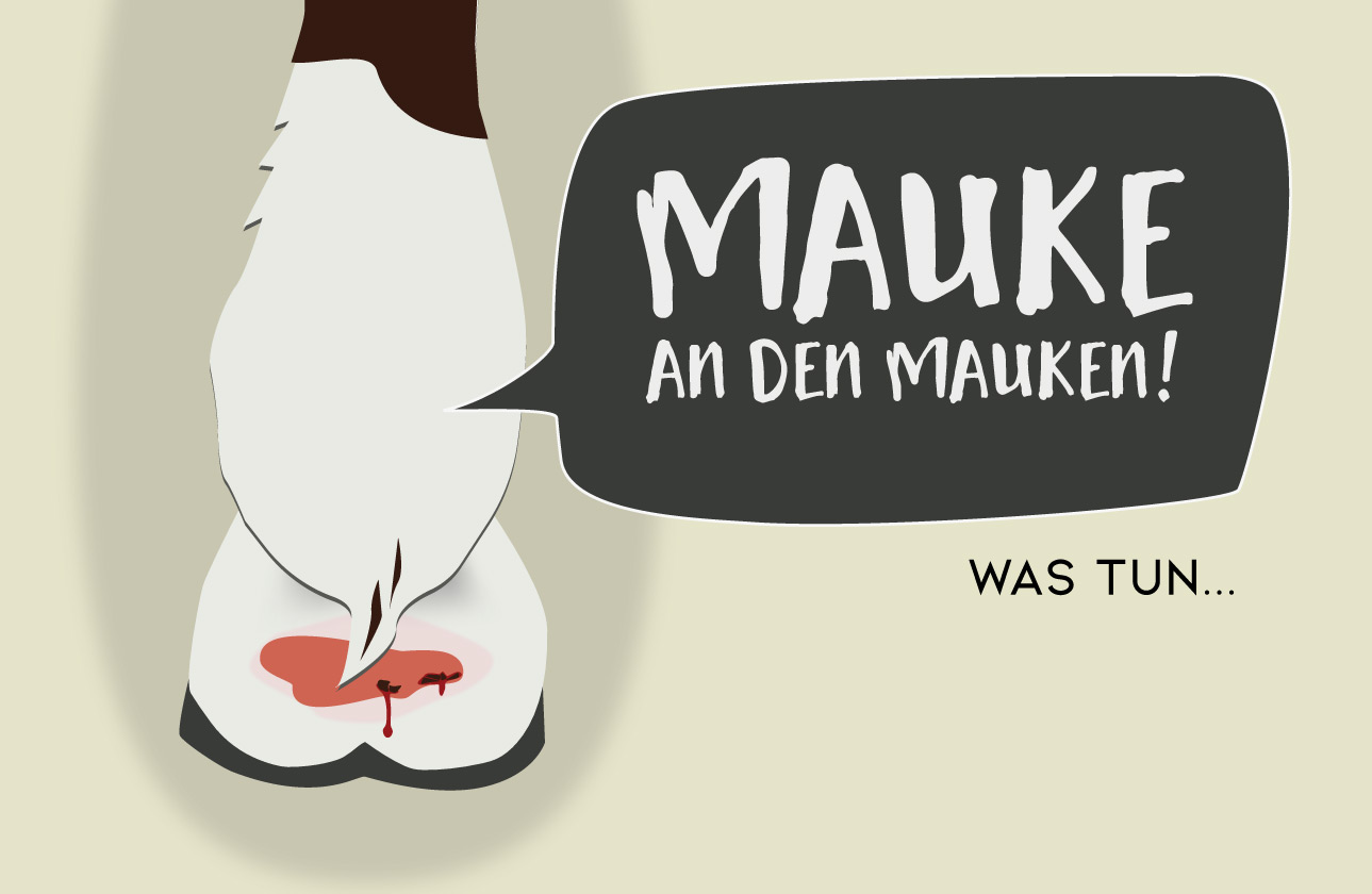 Mauke an den Mauken! - Pferdeliebe - das Magazin