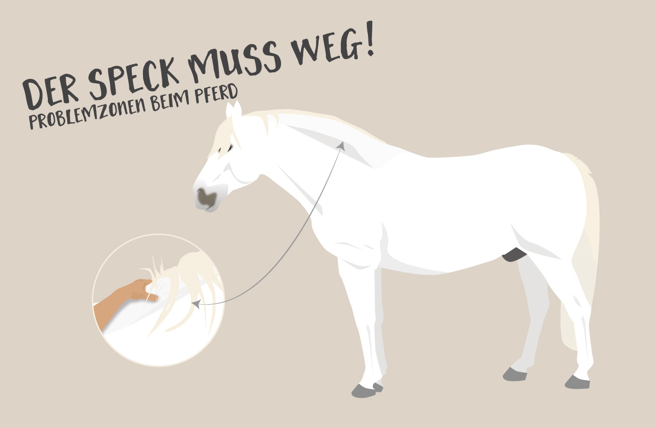 Der Speck muss weg! - Pferdeliebe - das Magazin